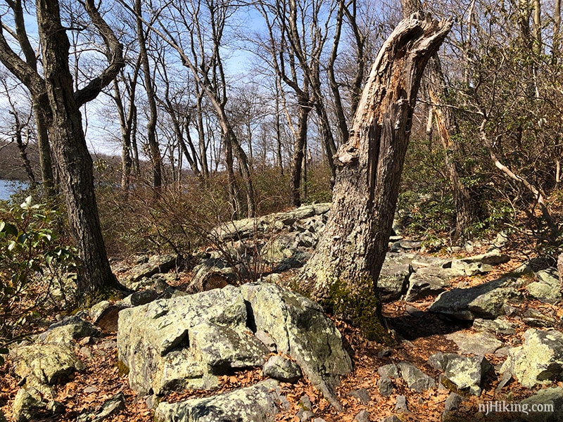 Sunfish Pond – Garvey Springs and Douglas Loop | njHiking.com