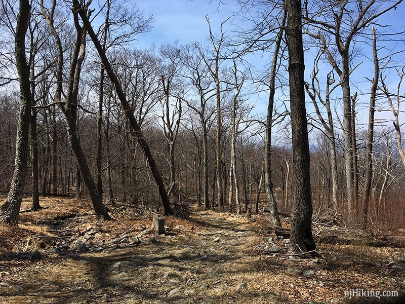 Sunfish Pond – Garvey Springs and Douglas Loop | njHiking.com