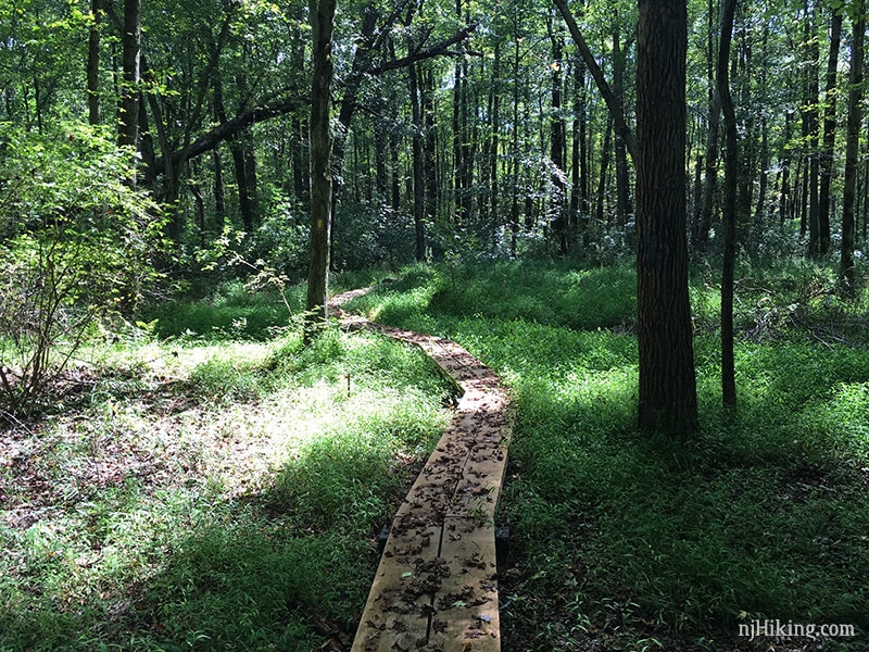 Ireland Brook Conservation Area | njHiking.com