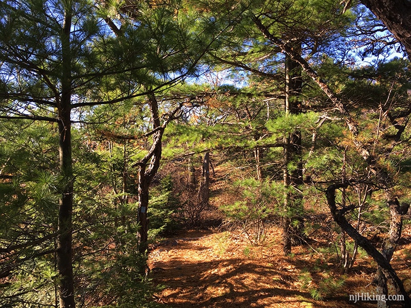 Hiking the Terrace Pond North Trail in October | njHiking.com