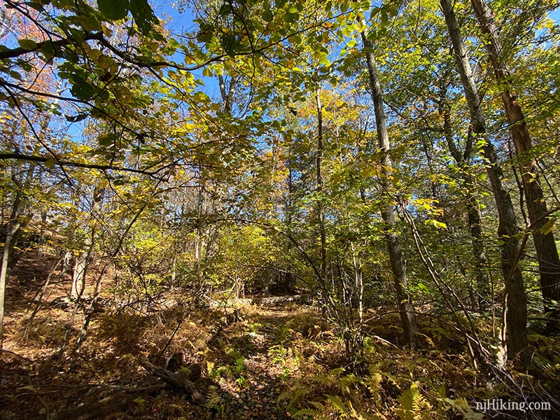 Hiking the Terrace Pond North Trail in October | njHiking.com