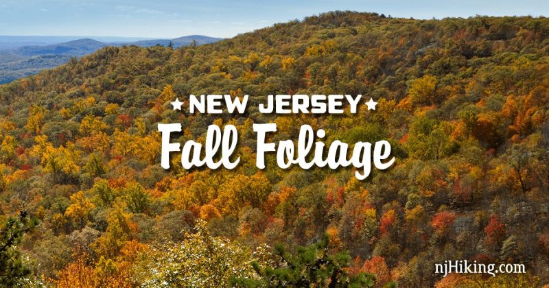 New Jersey Fall Foliage | njHiking.com