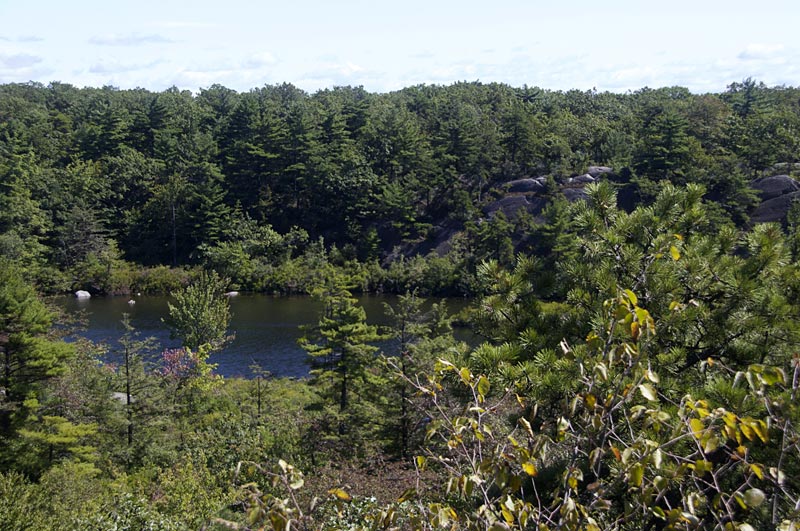 Terrace Pond South | njHiking.com