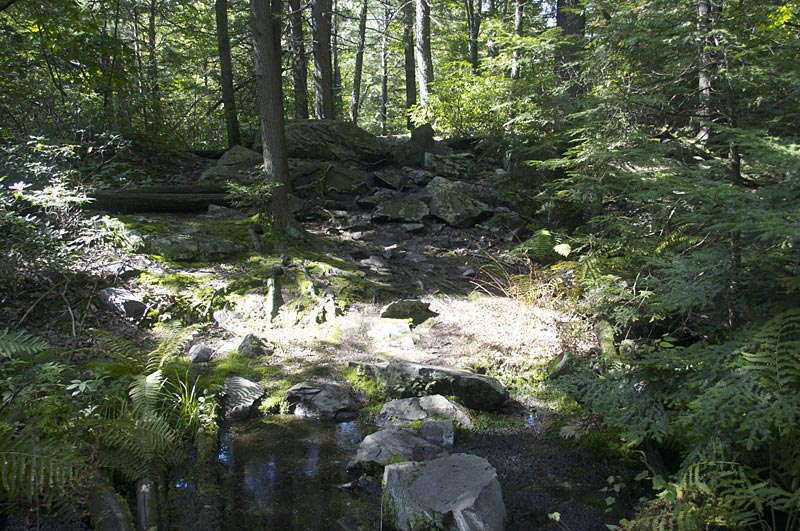 Terrace Pond South | njHiking.com