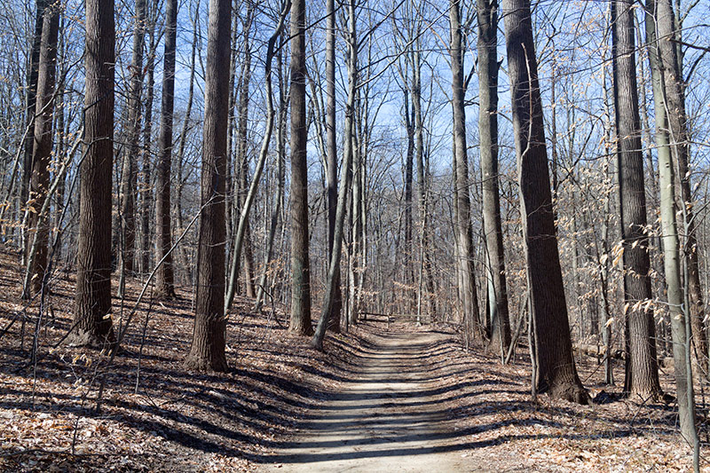 Tatum Park | njHiking.com