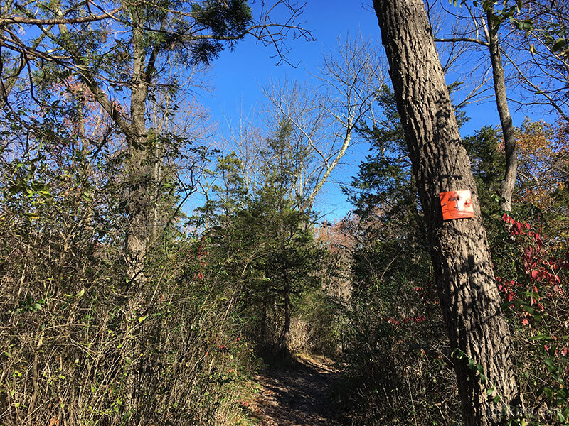 Washington Valley Park | njHiking.com