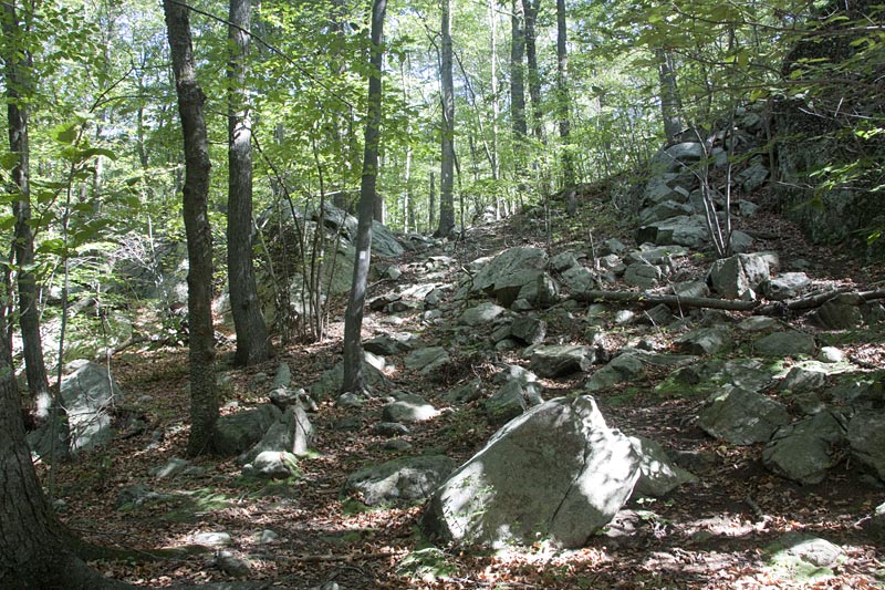 Splitrock Reservoir Loop | njHiking.com