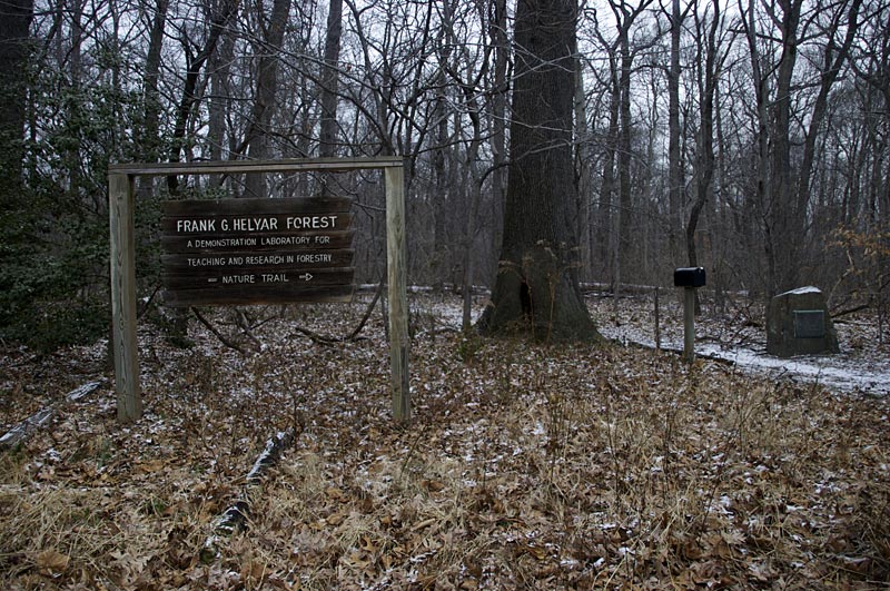 Helyar Woods - Rutgers Gardens in New Brunswick | njHiking.com