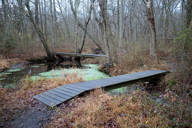 Mercer County Park | njHiking.com
