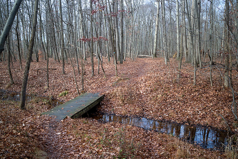 Mercer County Park | njHiking.com