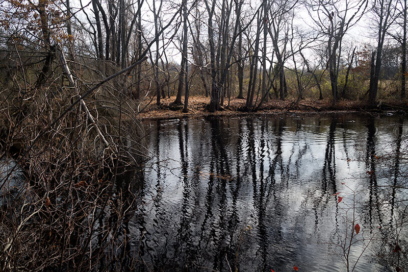 Mercer County Park | njHiking.com