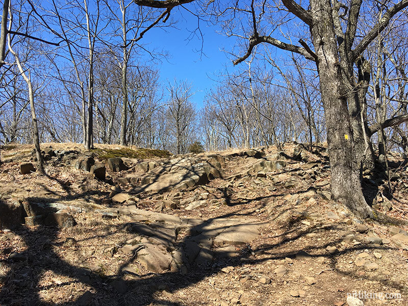 High Mountain | njHiking.com