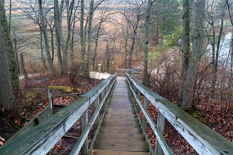 Cheesequake Blue Trail in the Rain | njHiking.com