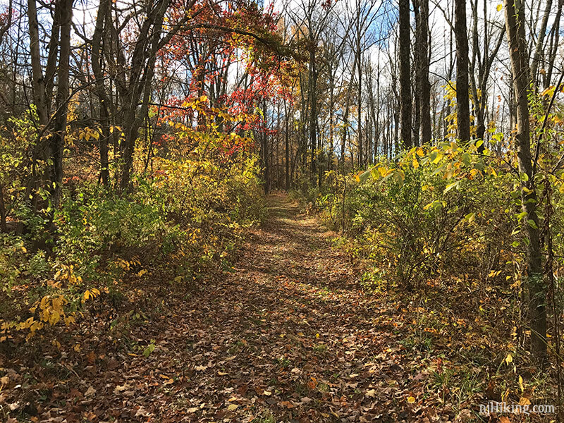 Wallkill River National Wildlife Refuge | njHiking.com