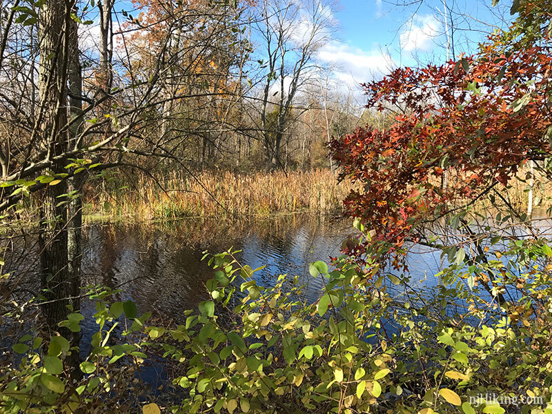 Wallkill River National Wildlife Refuge | njHiking.com