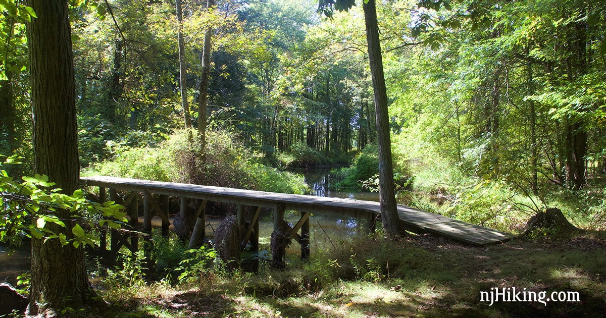Great Swamp – Blue Trail | njHiking.com