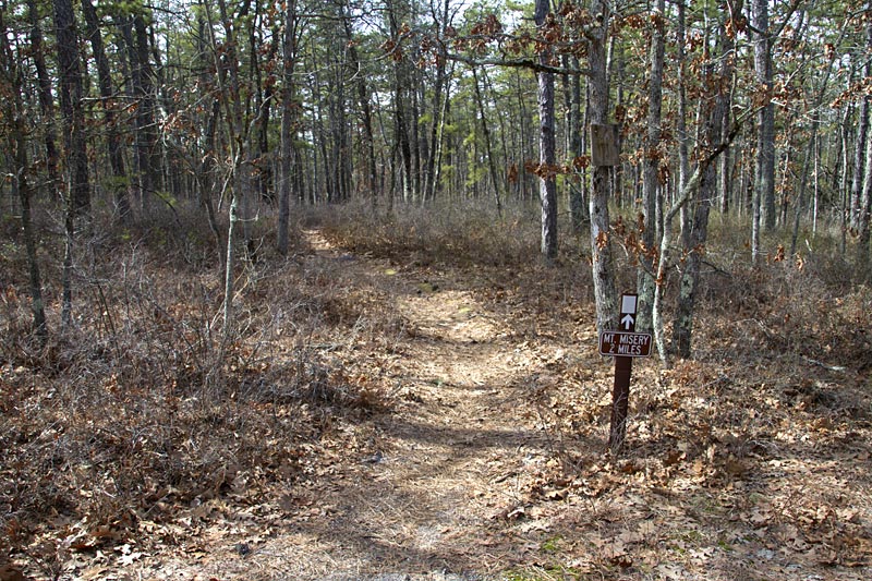 Brendan Byrne – Pakim Pond and Mt. Misery | njHiking.com Brendan Byrne – Pakim Pond and Mt. Misery | njHiking.com