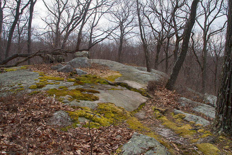 Beaver Brook Trail to Lost Lake | njHiking.com