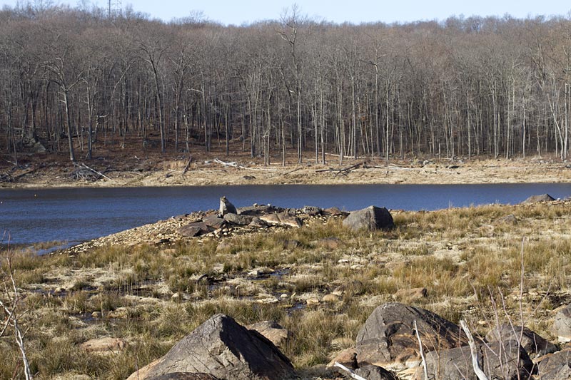 Mahlon Dickerson - Highlands and Pine Swamp | njHiking.com