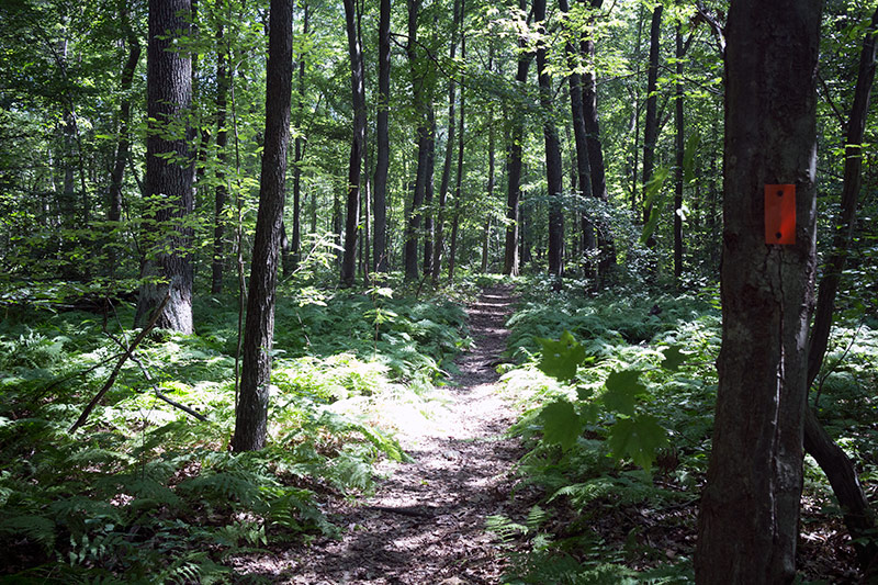 Stephens State Park | njHiking.com