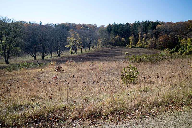 Huber Woods Park | njHiking.com