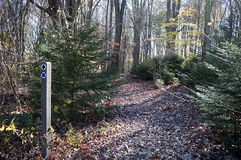 Huber Woods Park | njHiking.com