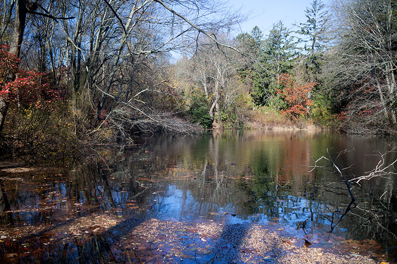 Huber Woods Park | njHiking.com