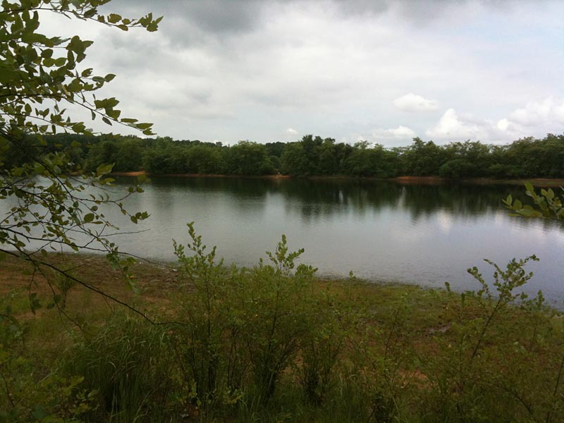 Julian Capik Preserve | njHiking.com