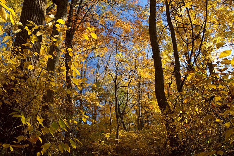 Baldpate Mountain on Halloween | njHiking.com