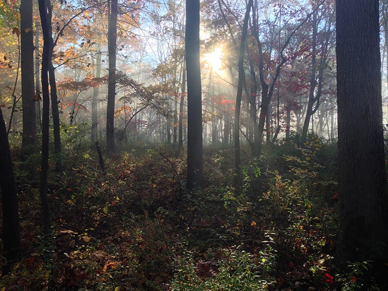 Baldpate Mountain on Halloween | njHiking.com