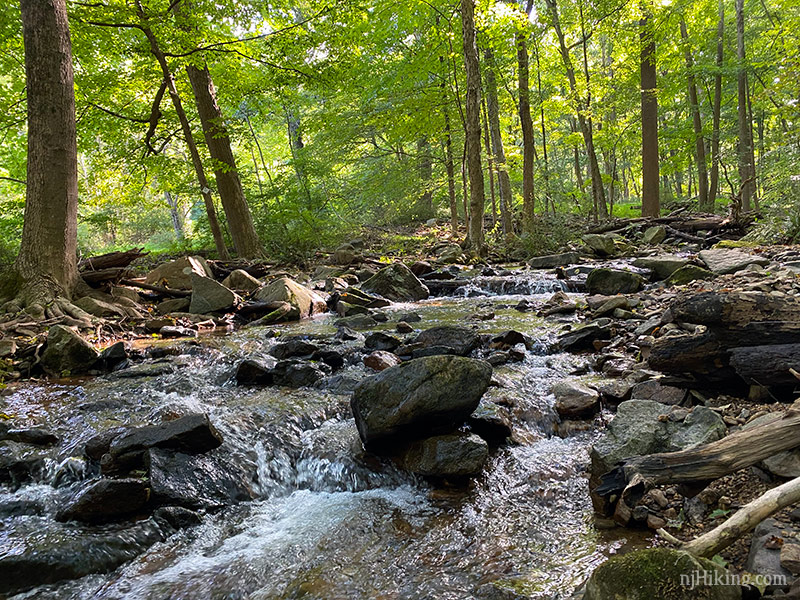 Point Mountain Reservation | njHiking.com