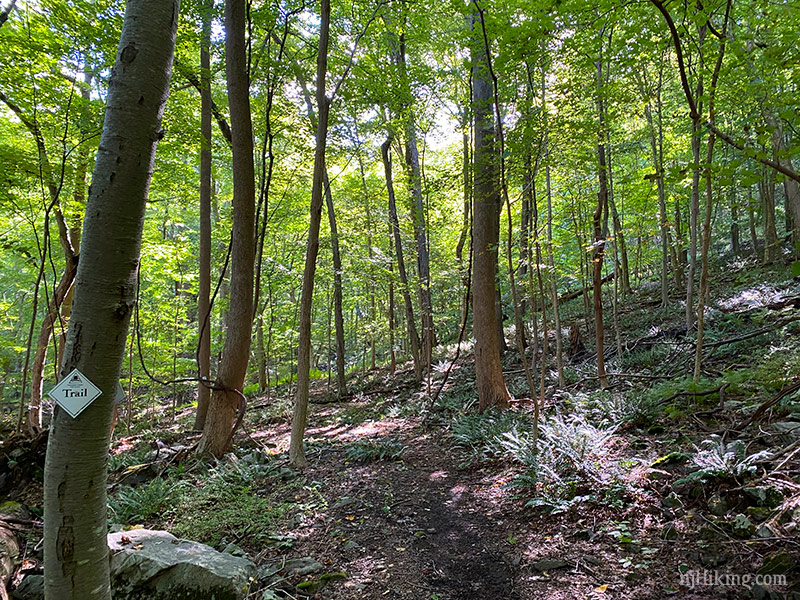 Point Mountain Reservation | njHiking.com