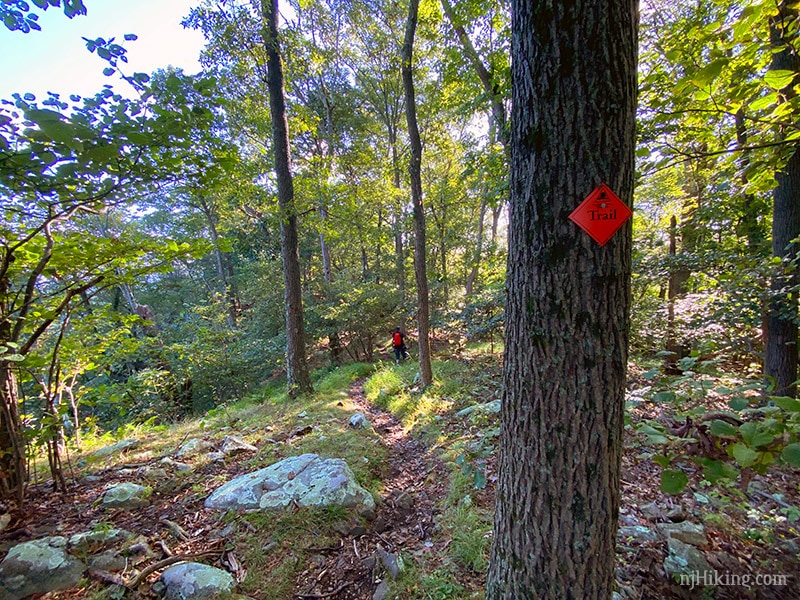 Point Mountain Reservation | njHiking.com