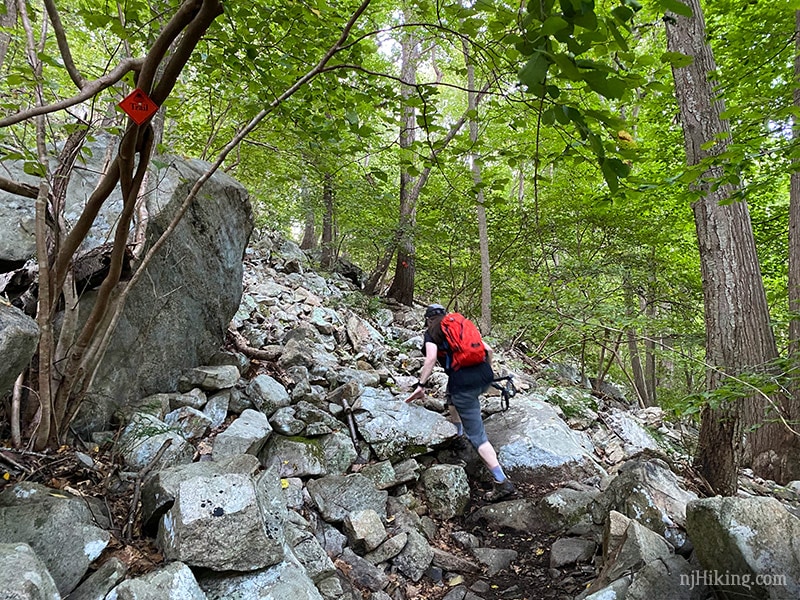 Point Mountain Reservation | njHiking.com