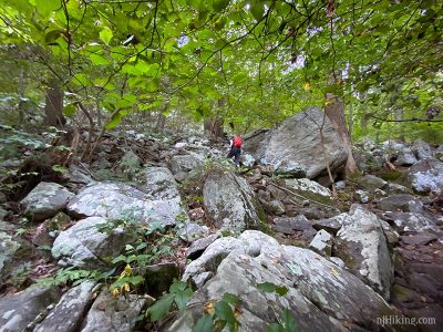 Point Mountain Reservation | njHiking.com