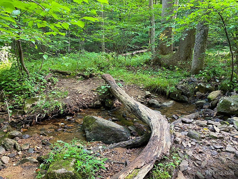 Point Mountain Reservation | njHiking.com