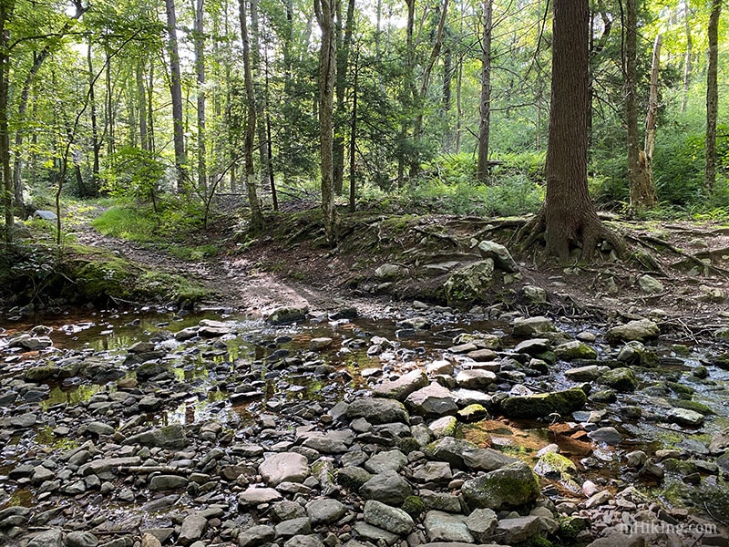 Sunfish Pond | njHiking.com