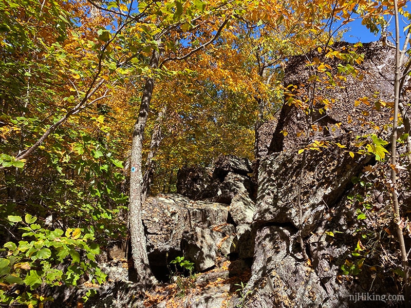Terrace Pond North | njHiking.com