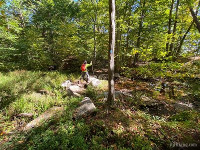 Terrace Pond North | njHiking.com