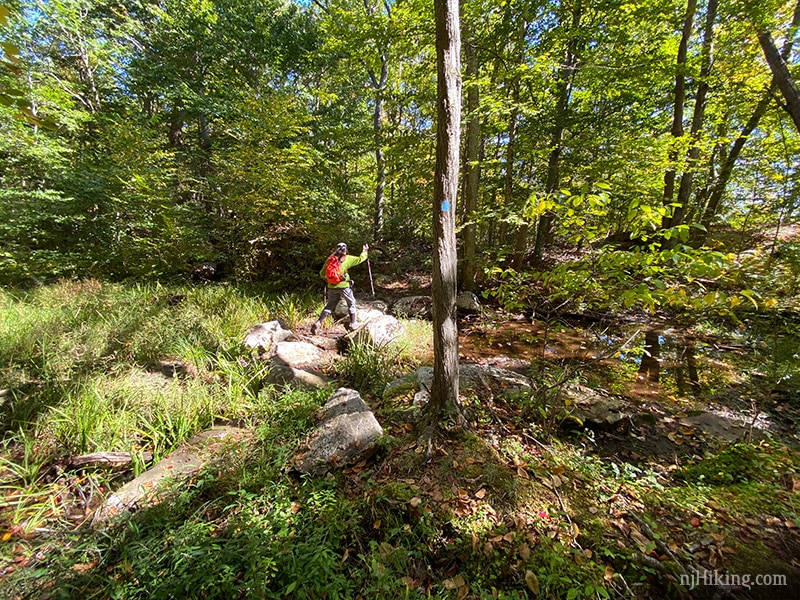 Terrace Pond North | njHiking.com