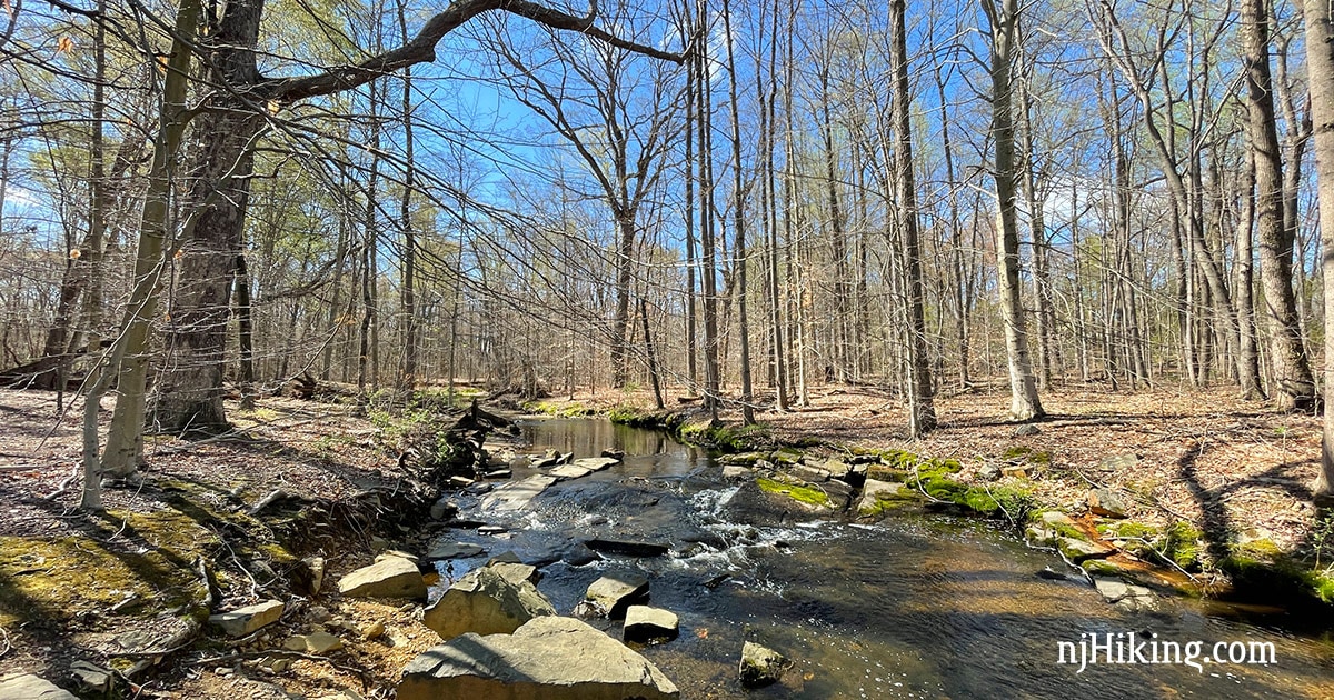 Forest Brook Trail | njHiking.com