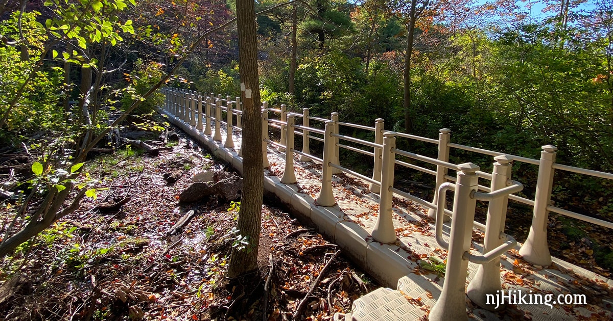 Terrace Pond Floating Bridge | njHiking.com
