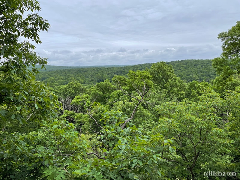 Beaver Brook Trail to Lost Lake | njHiking.com