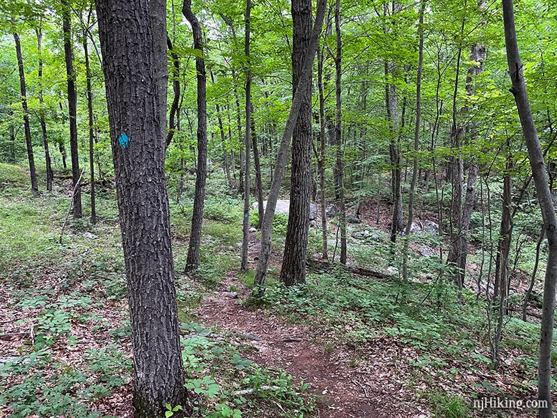 Beaver Brook Trail to Lost Lake | njHiking.com