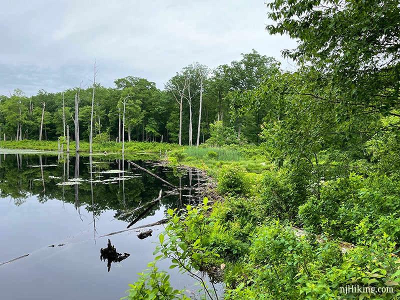 Beaver Brook Trail to Lost Lake | njHiking.com