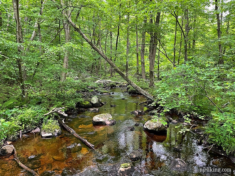 Beaver Brook Trail to Lost Lake | njHiking.com