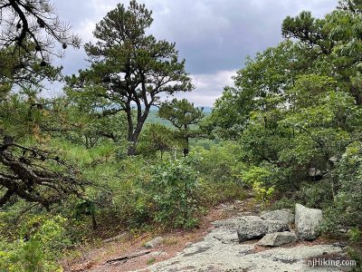 Grand Castle Loop | njHiking.com