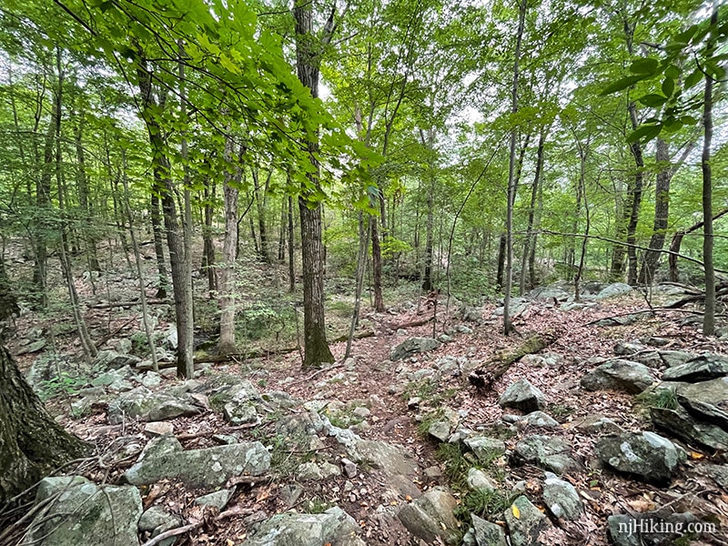 Grand Castle Loop | njHiking.com