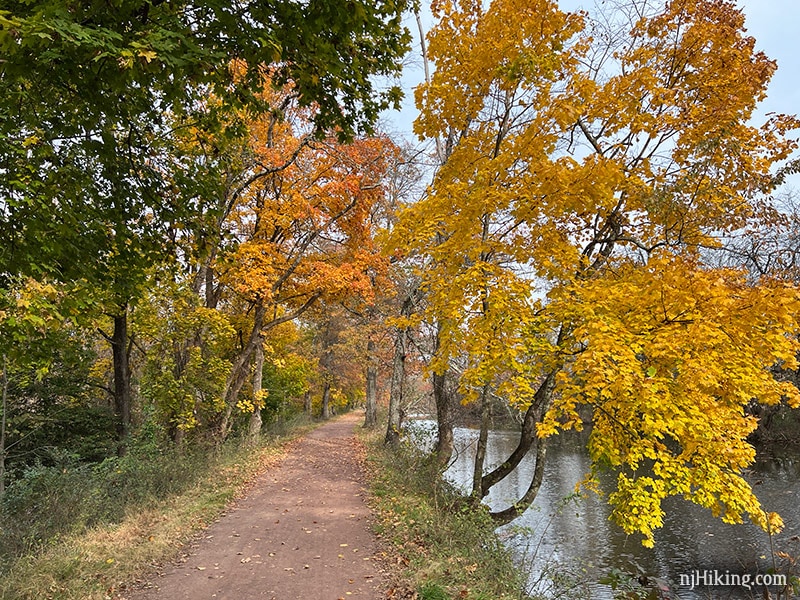 New Jersey Fall Foliage | njHiking.com