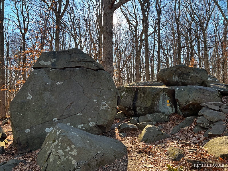 Sourland Mountain Preserve | njHiking.com